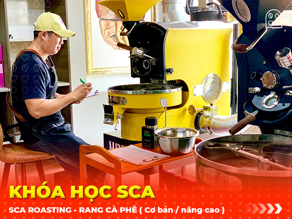 Khóa học SCA Roasting